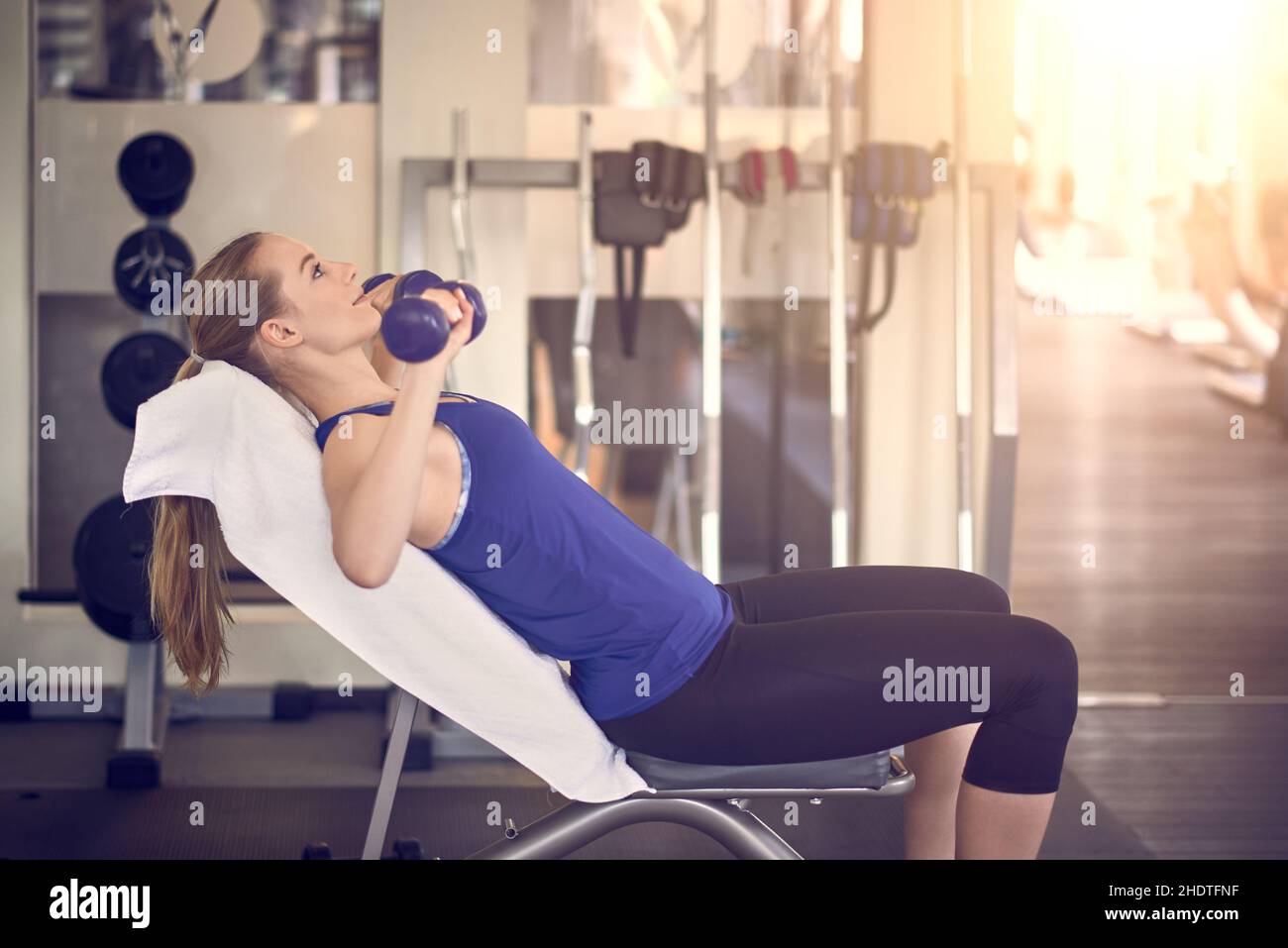 gym, weightlifting, muscle, fitness club, fitness clubs, gyms, muscles ...