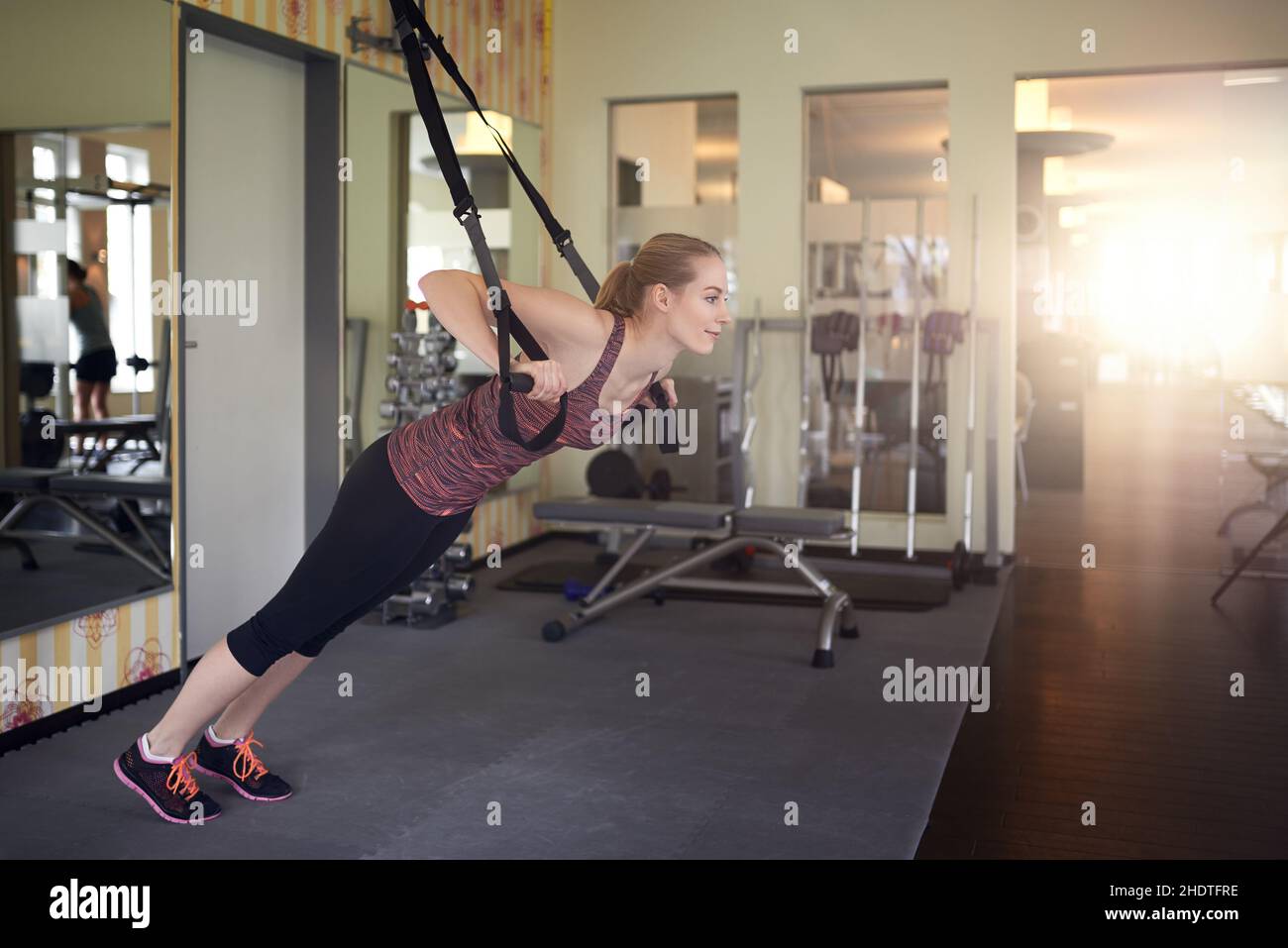 sports training, gym, workout, exercise, exercising, fitness club ...