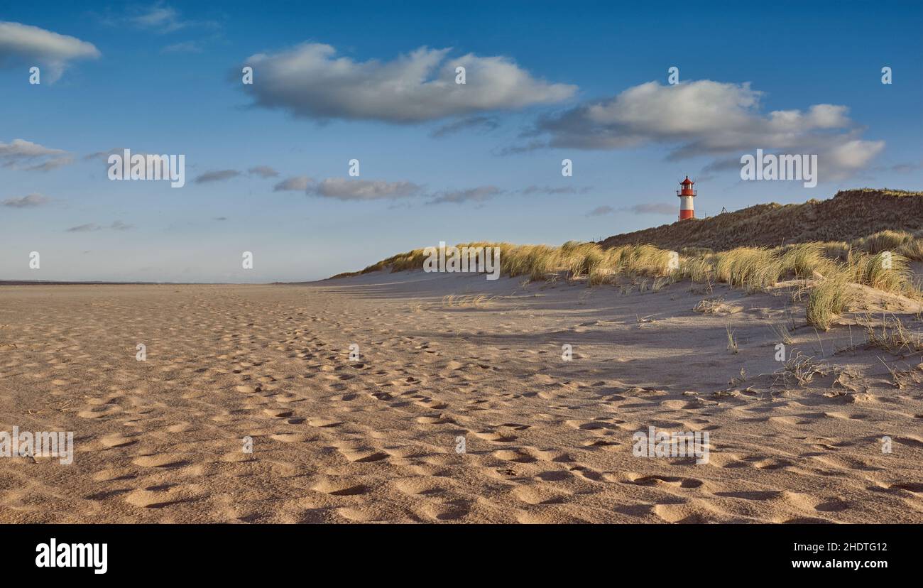 beach, sylt, beaches, seaside, sylts Stock Photo - Alamy