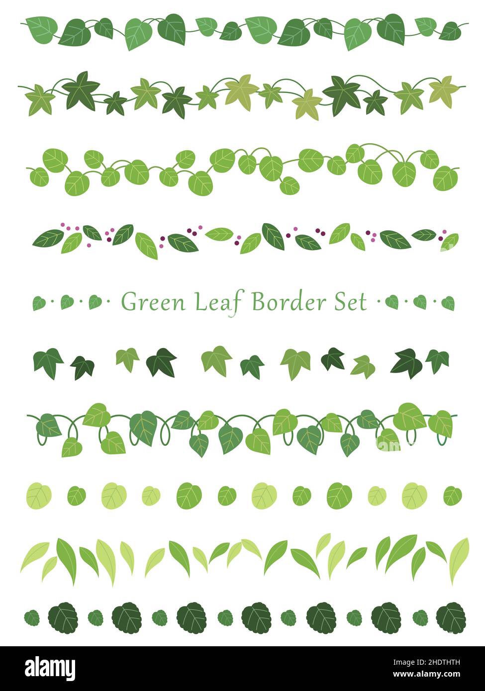 Set of botanical borders isolated on a white background. Vector ...
