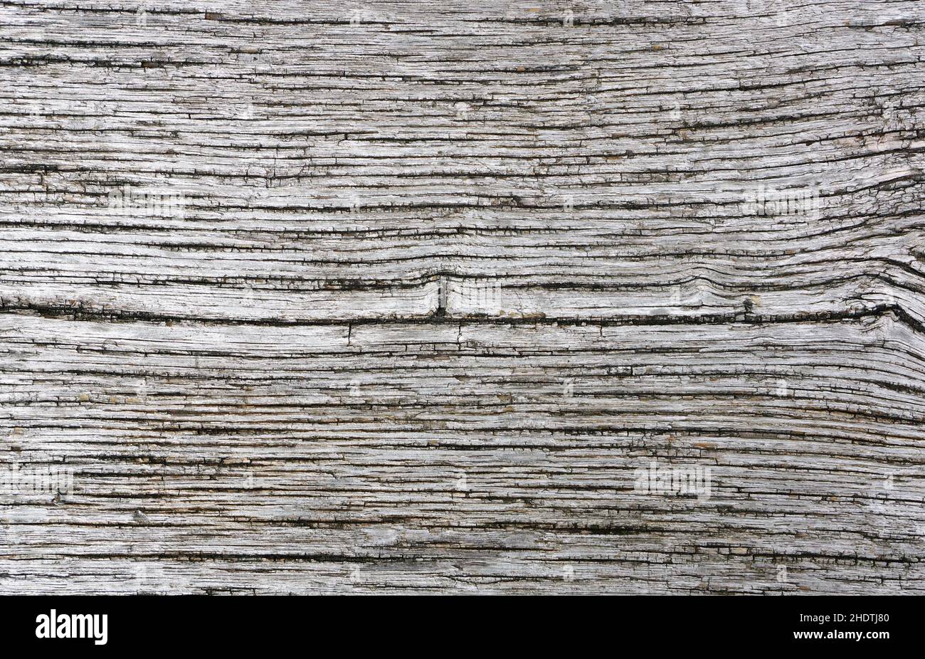 wood, weathered, woodland, woodlands, woods, weathereds Stock Photo - Alamy