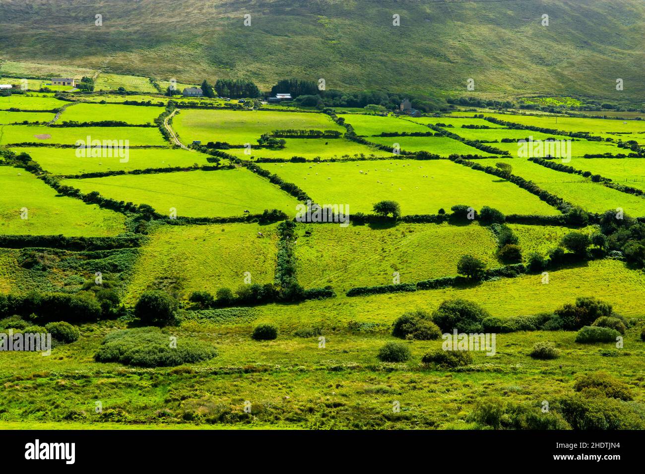 landscape, field, ireland, land parcel, landscapes, rural, rural scene ...