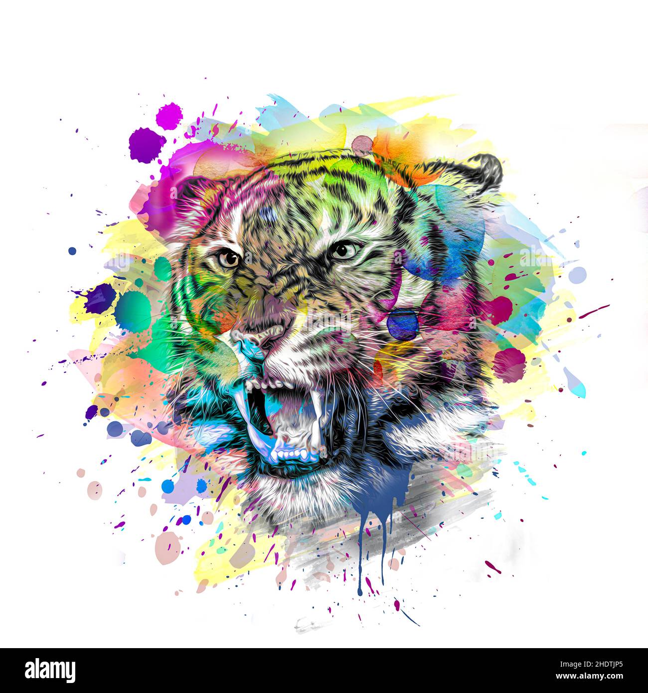 Tiger face drawing Cut Out Stock Images & Pictures - Alamy