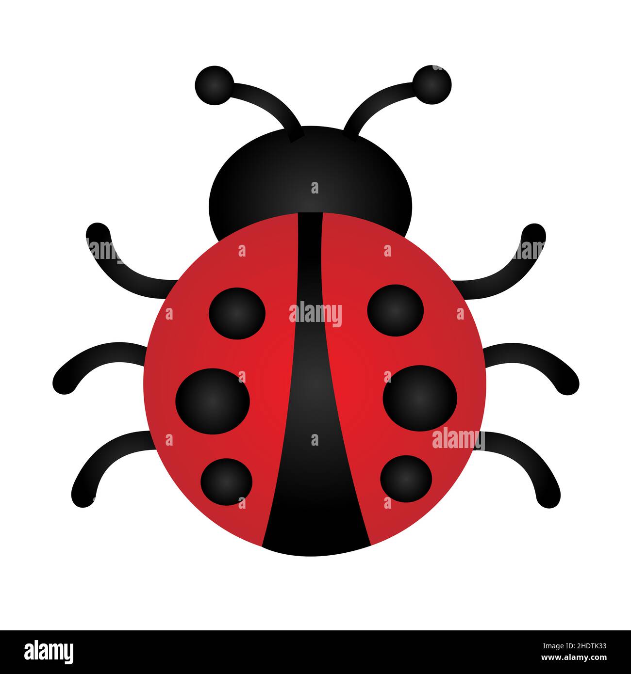Cute ladybug hi-res stock photography and images - Alamy