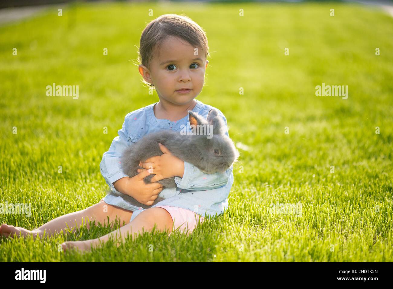 Little and cute girl hold little brown rabbit in her hands while she is ...