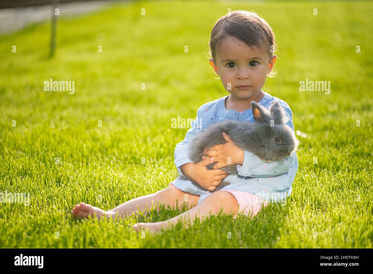 Little and cute girl hold little brown rabbit in her hands while she is ...