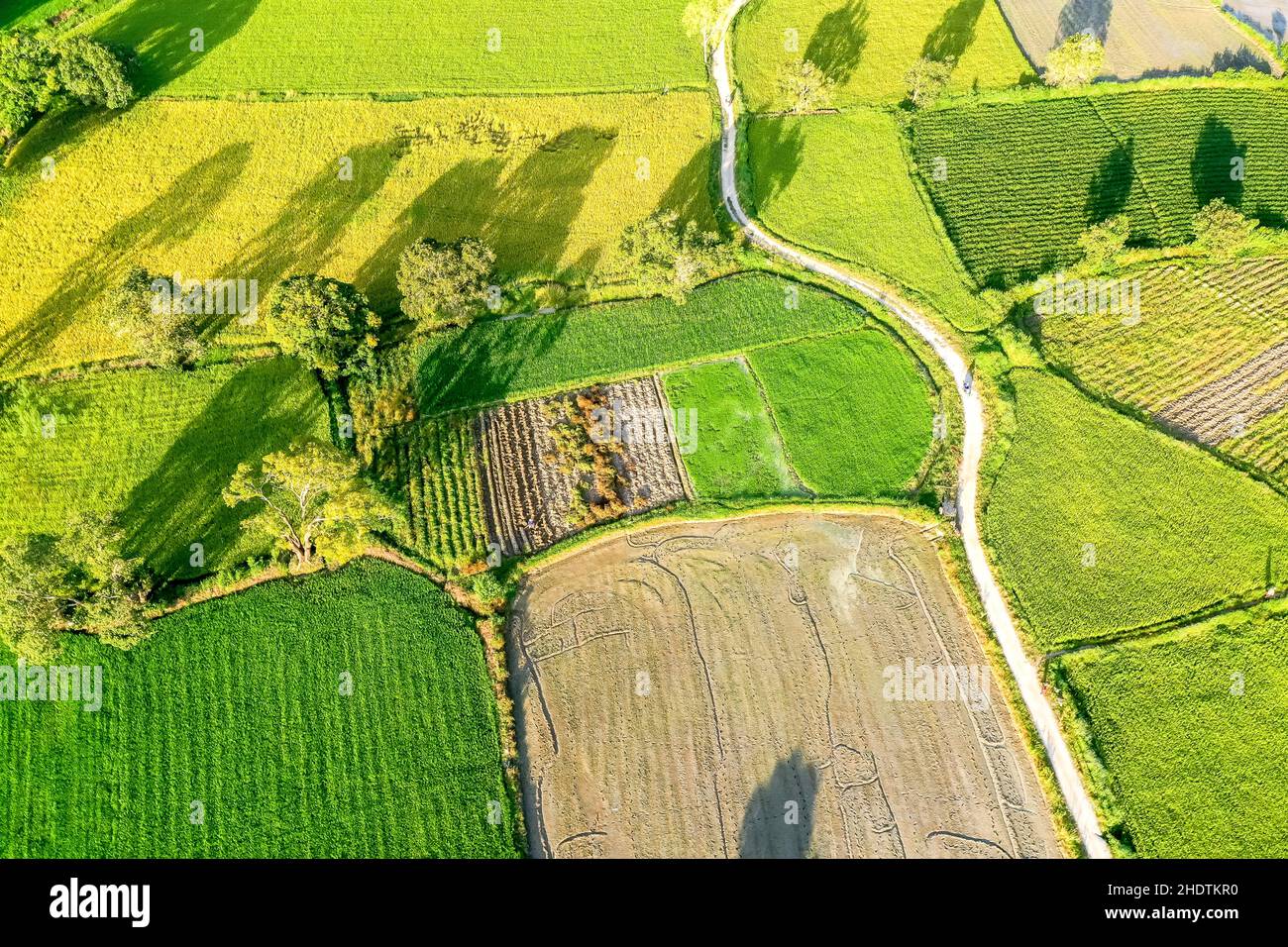 Ta pa rice fields, vietnam hi-res stock photography and images - Alamy