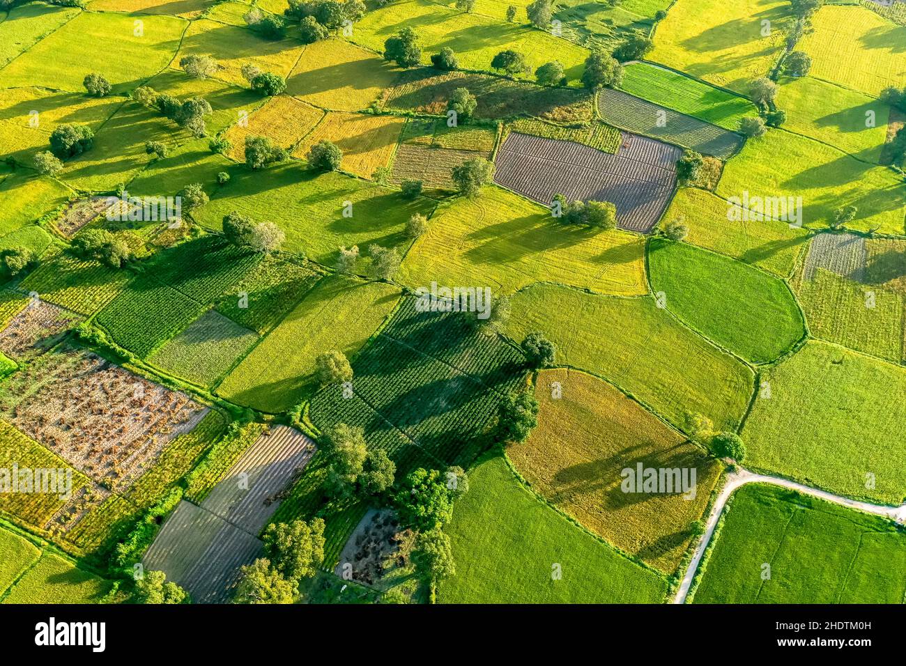 Ta pa rice fields, vietnam hi-res stock photography and images - Alamy