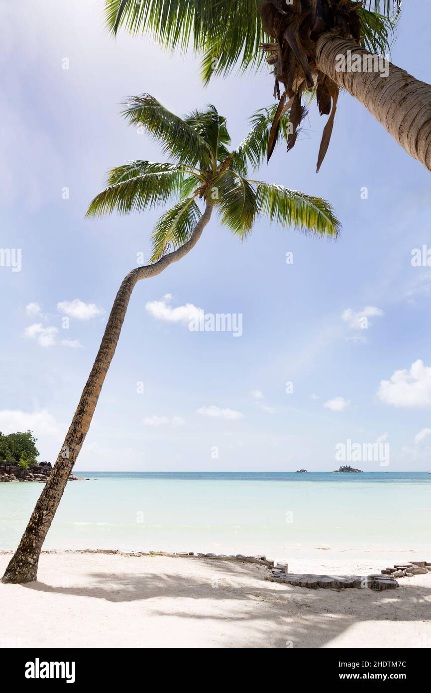 beach, seychelles, remote beaches, beaches, seaside Stock Photo - Alamy