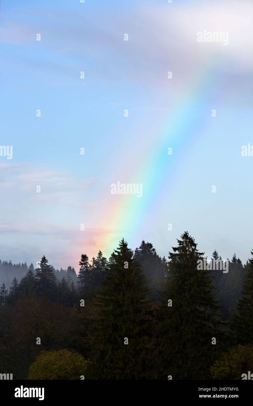 rainbow, natural phenomenon, rainbows Stock Photo - Alamy