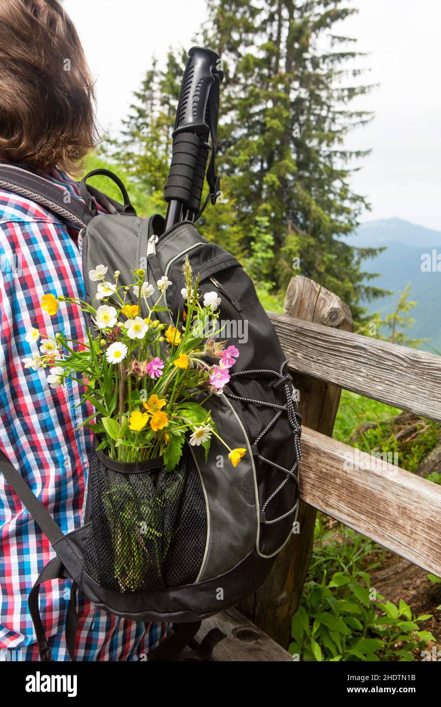 excursion, outdoor, hiker, excursions, trip, trips, outdoors, hikers ...