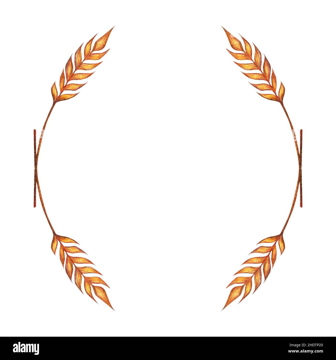 Watercolor ears of wheat frame border illustration isolated on white ...