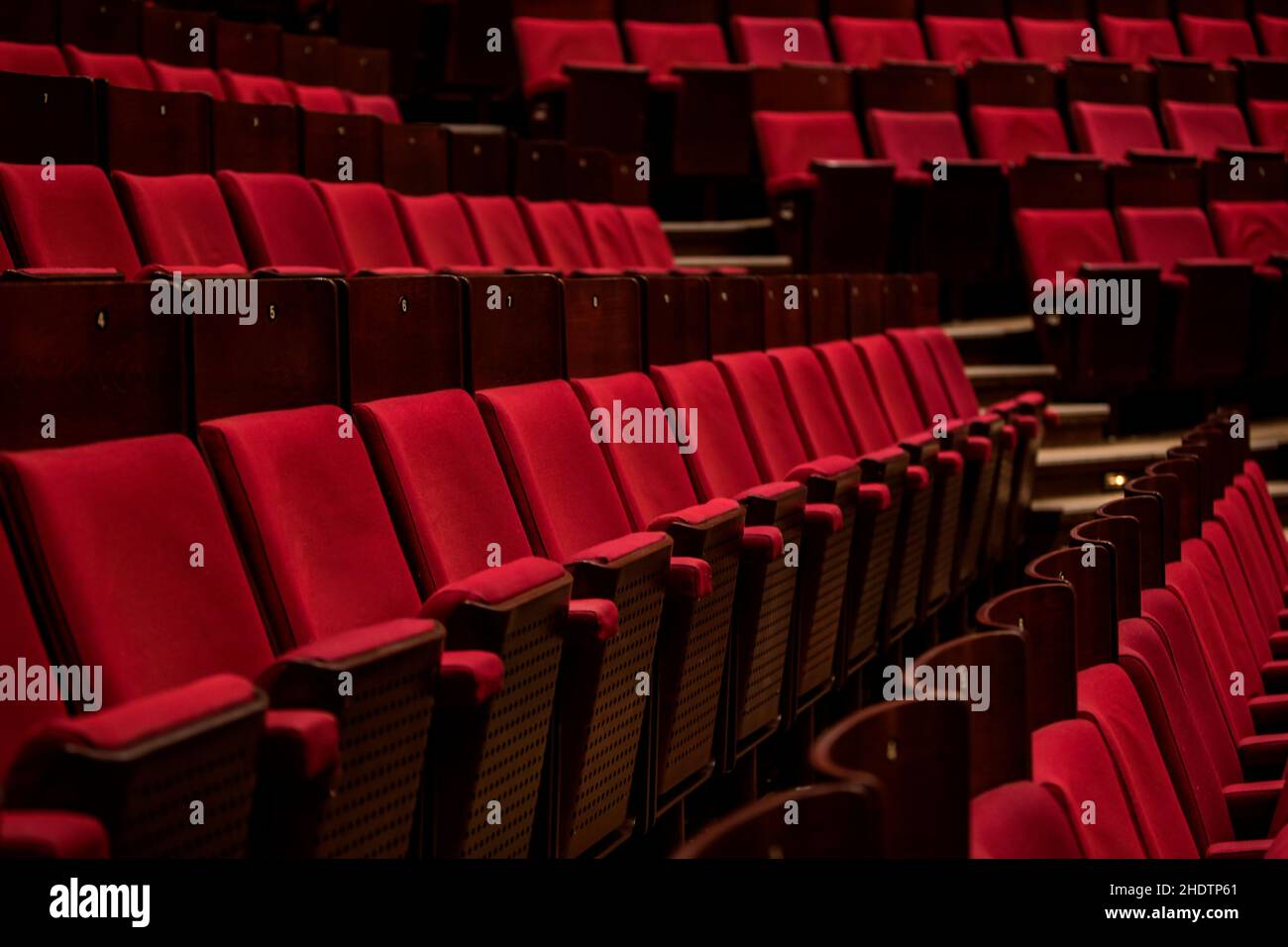 seating, seat row, concert hall, seat rows, concert halls Stock Photo ...
