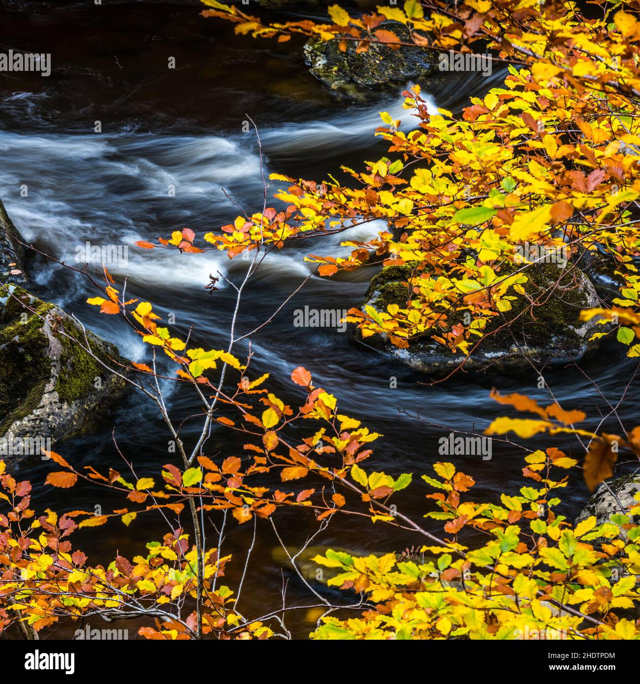river, river braan, rivers Stock Photo - Alamy
