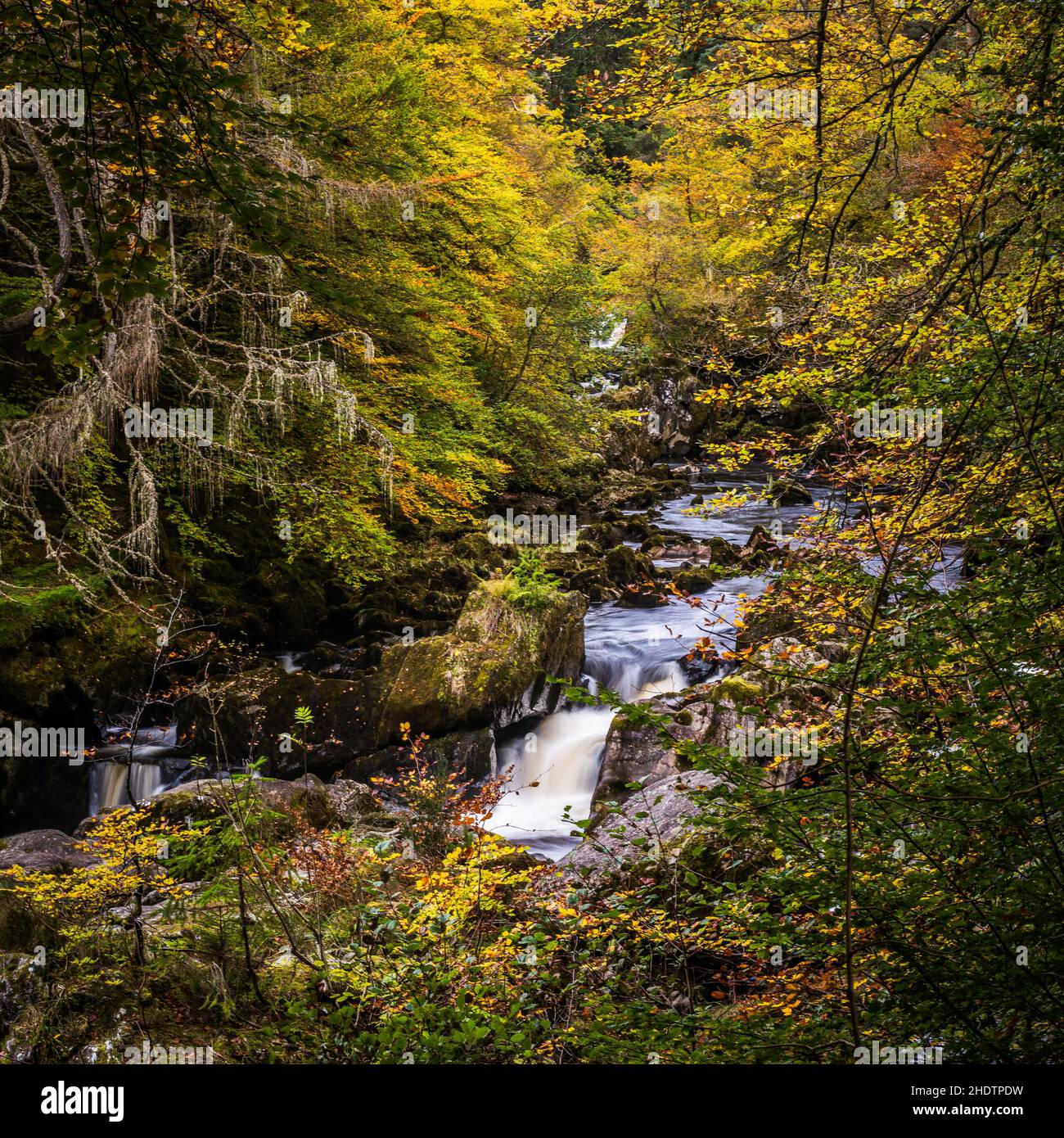 scotland, river braan, great britain, uk Stock Photo - Alamy