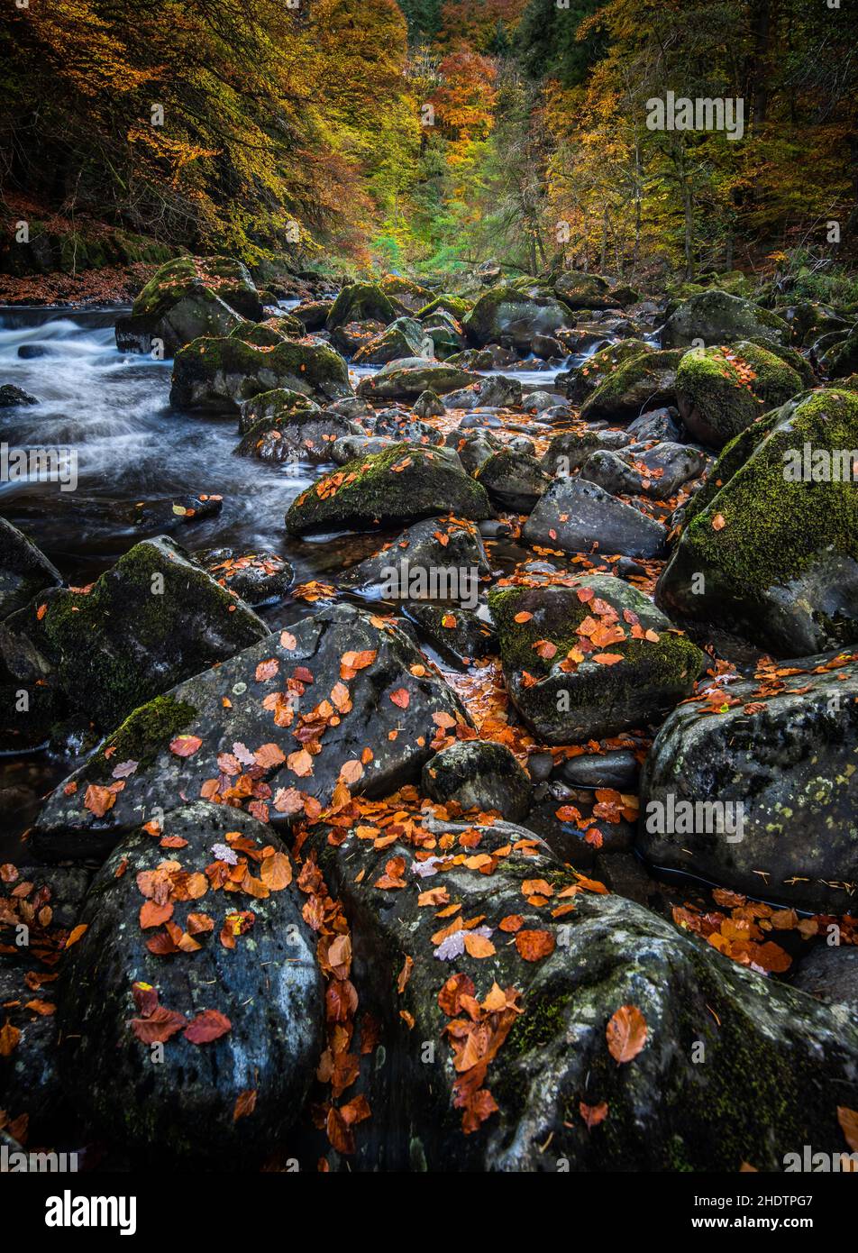 Braan hi-res stock photography and images - Alamy