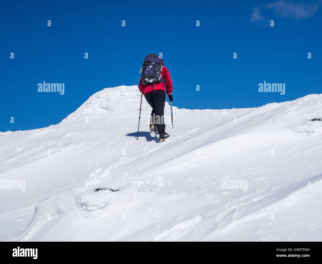 winter, hiking, winters Stock Photo - Alamy