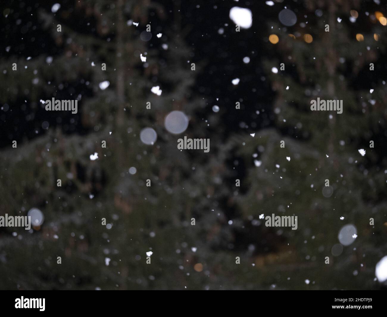 snow falling snowing at night in dolomites mountains Stock Photo - Alamy