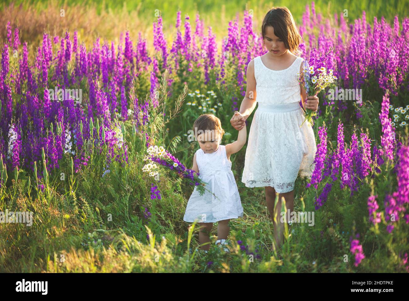 Two sisters holding hands in the flower chain Stock Photo - Alamy