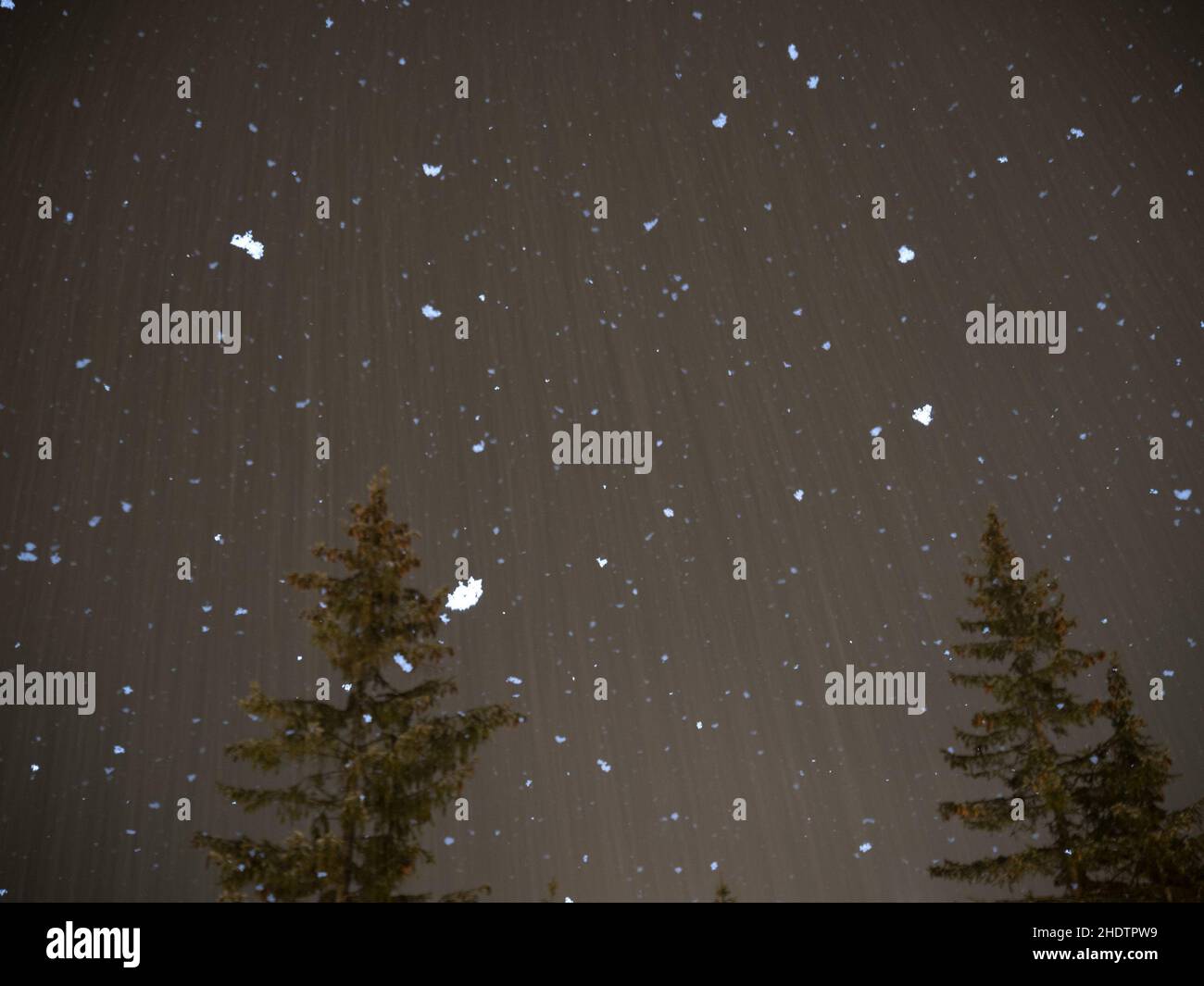 snow falling snowing at night in dolomites mountains Stock Photo - Alamy