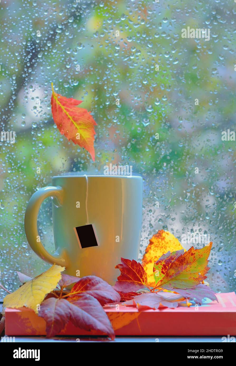 autumn, tea, rain, autumn weather, fall, teas, raining, autumn weathers ...
