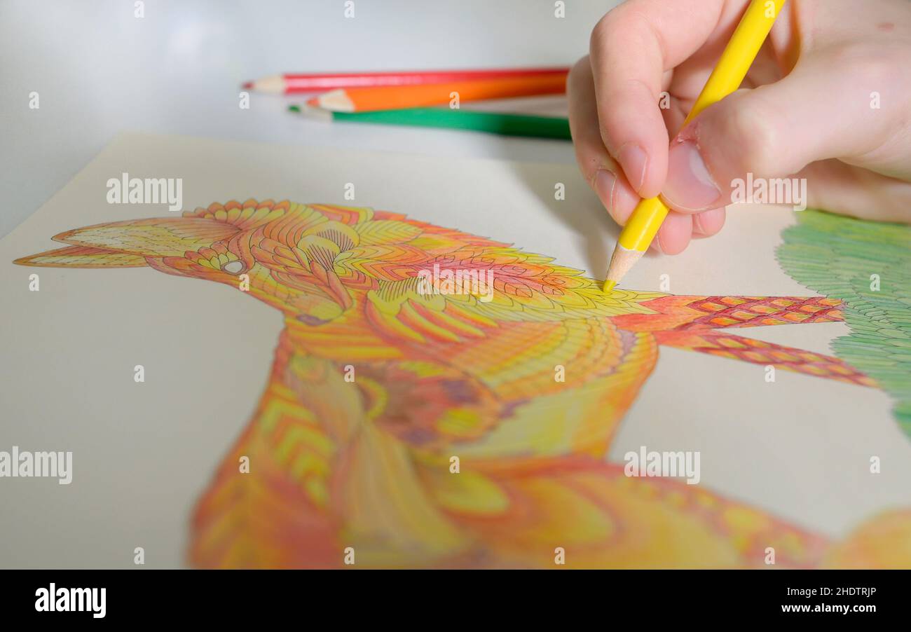 coloring, coloring book, coloring books Stock Photo - Alamy