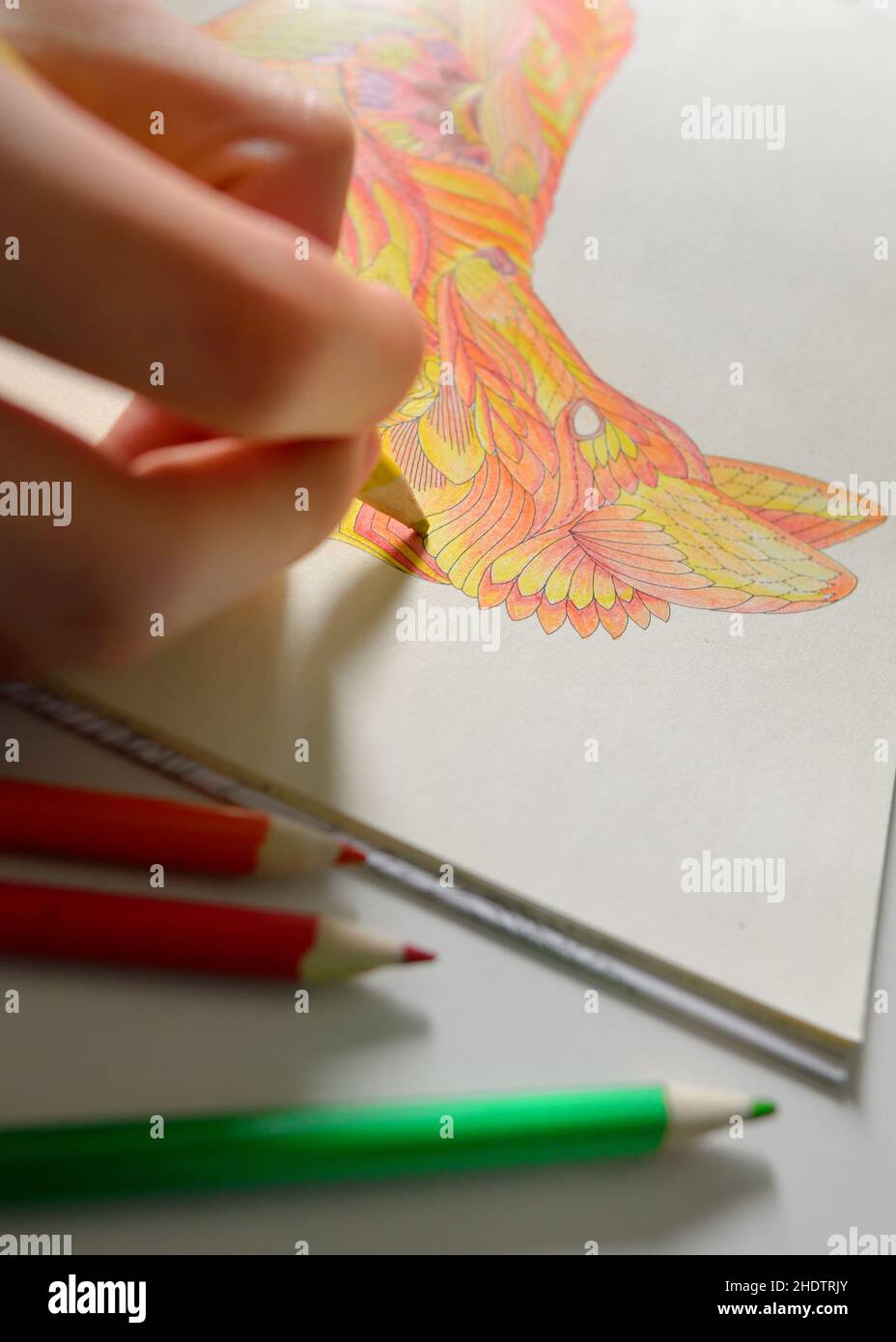 coloring, coloring book, coloring books Stock Photo - Alamy