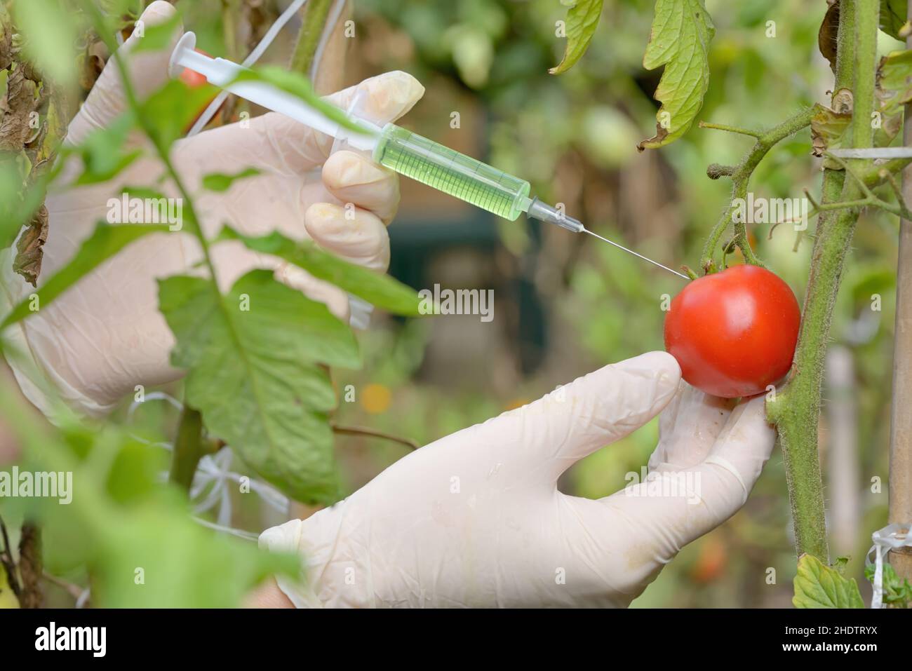 genetic research, genetic modification, genetic researchs, genetic ...