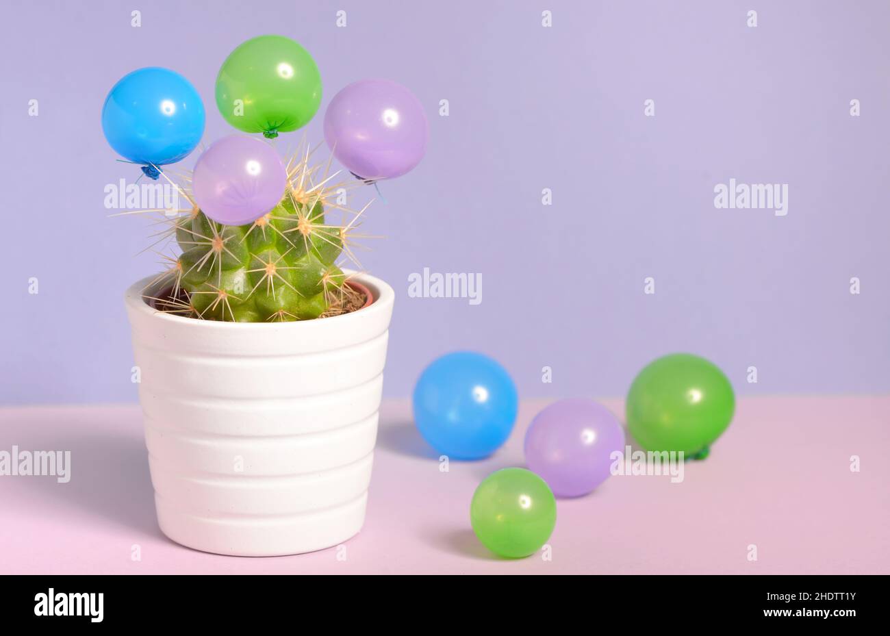 balloon, cactus, balloons Stock Photo - Alamy