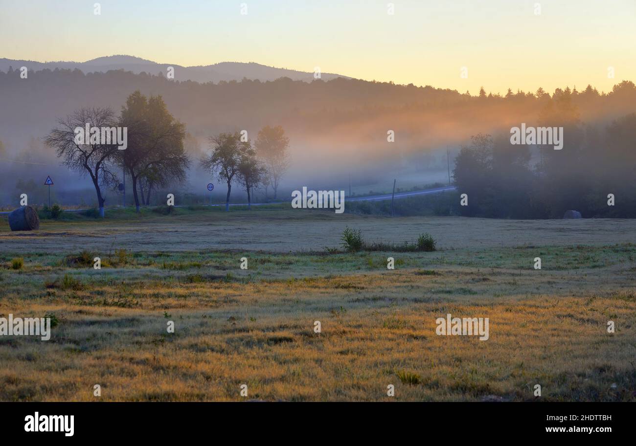 sunlight, mist, sun ray, sun rays, sunbeam, sunbeams, sunlights, sunray ...