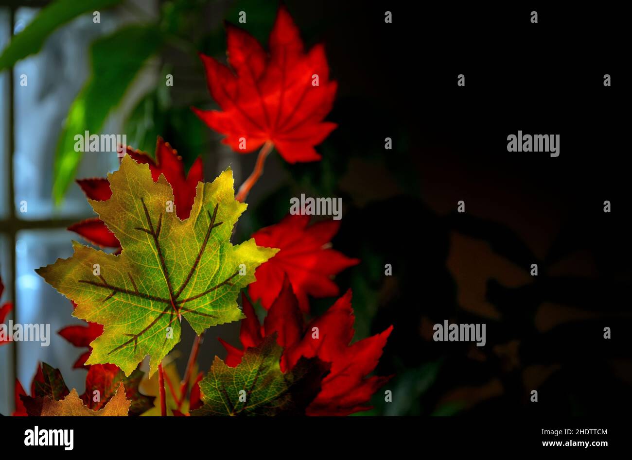 textile, maple, fabric, fabrics, textiles, maples Stock Photo - Alamy