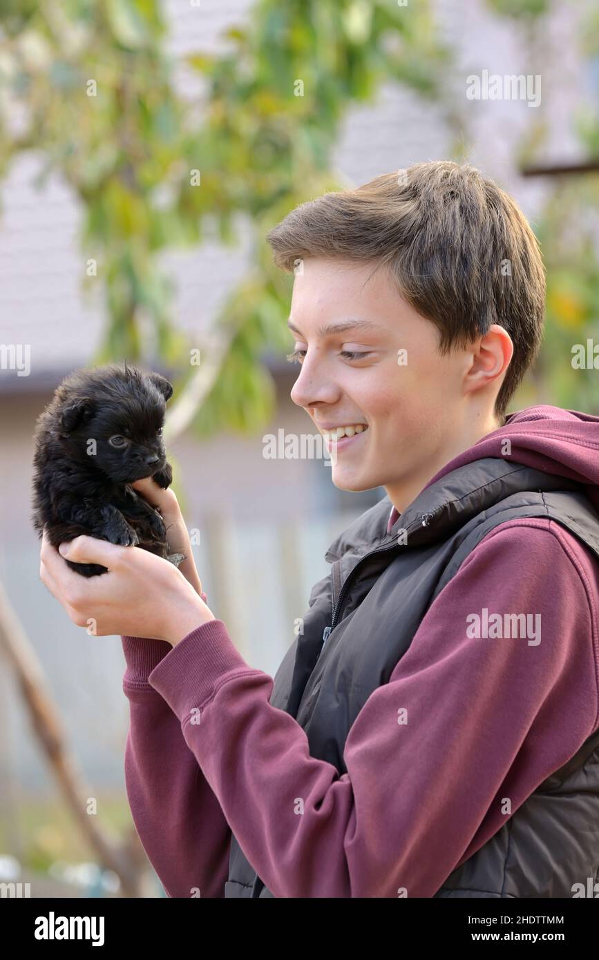 boy, animal love, baby dogs, boys, animal loves, baby dog Stock Photo ...