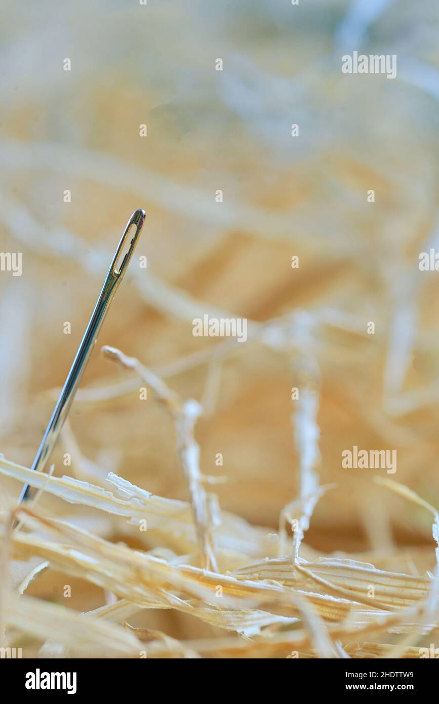 needle in the hay, needle in a haystacks Stock Photo - Alamy