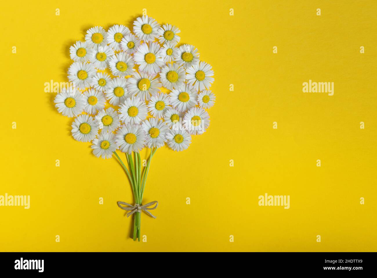 Daisy bouquets hi-res stock photography and images - Alamy
