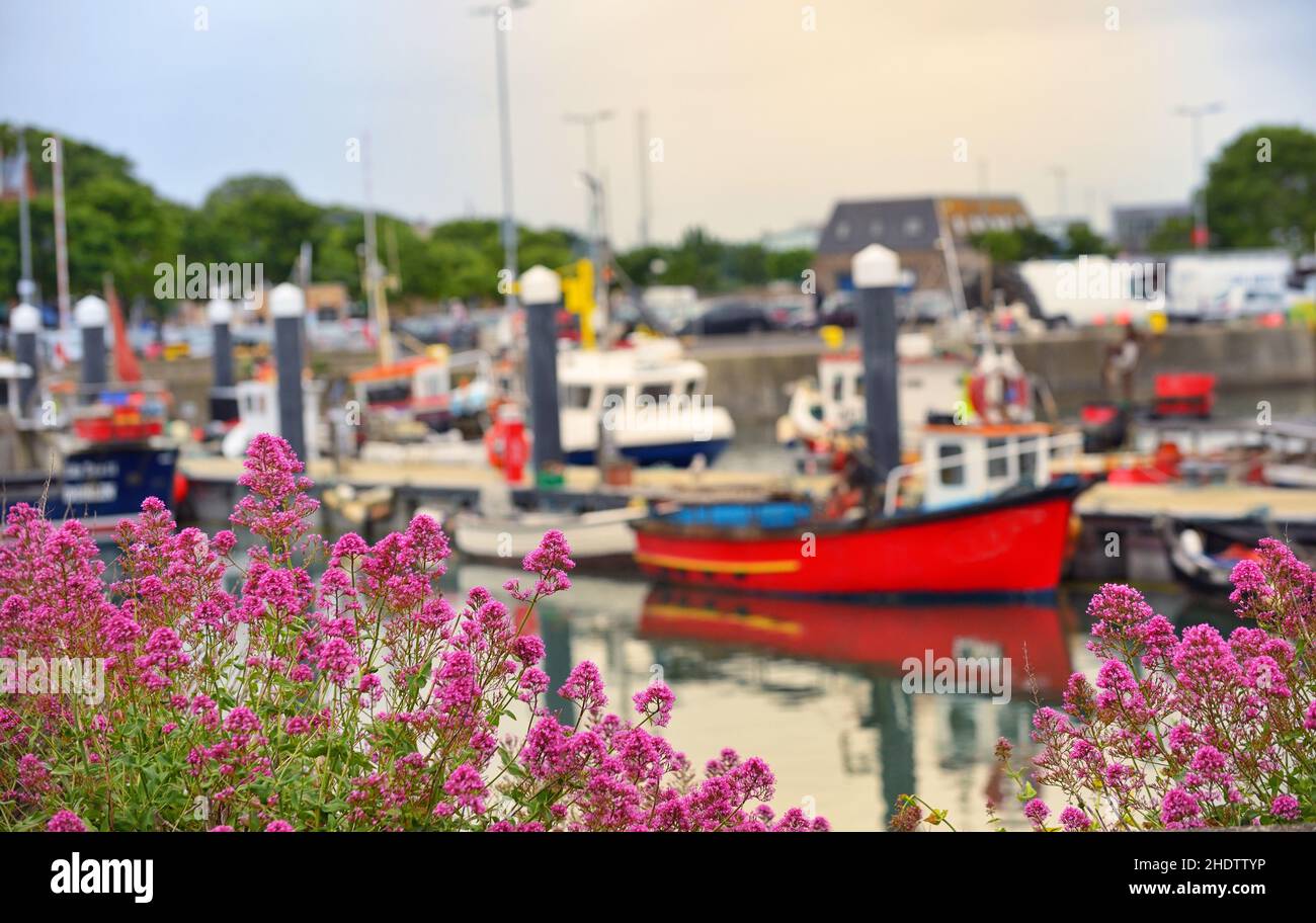 harbour, howth, harbours, port Stock Photo - Alamy