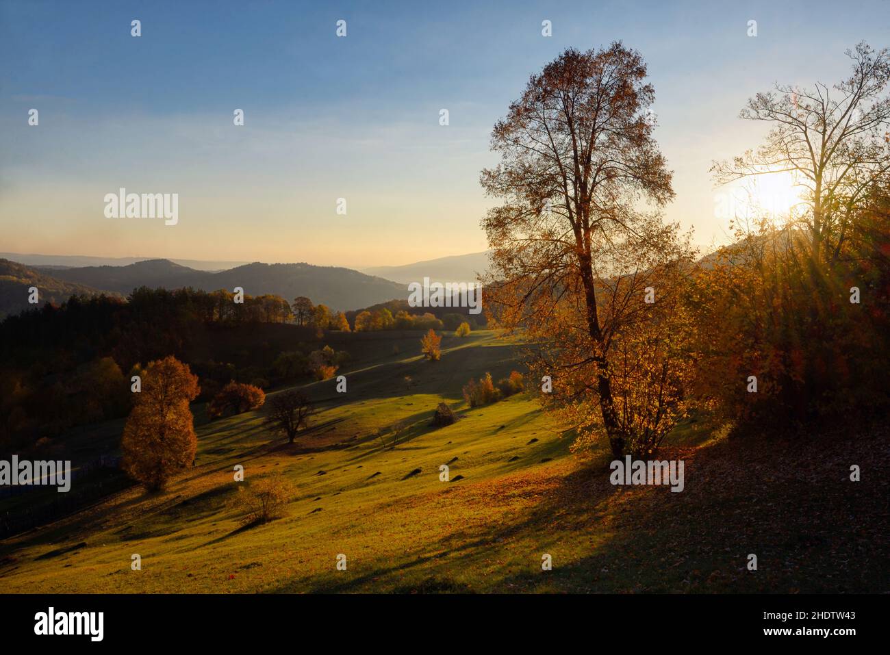 landscape, autumn, landscapes, rural, rural scene, scene, scenery ...