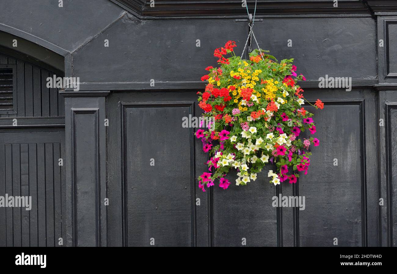 colorful, flower arrangement, colorfuls, colourful, flower arrangements ...