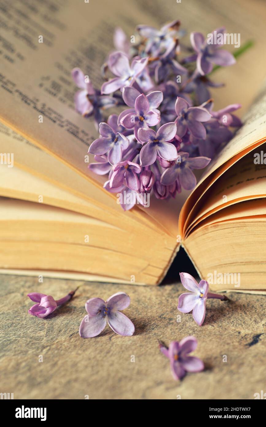 Lilac book hi-res stock photography and images - Alamy