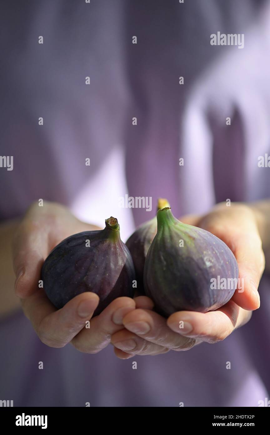 Healthy handfuls hi-res stock photography and images - Alamy