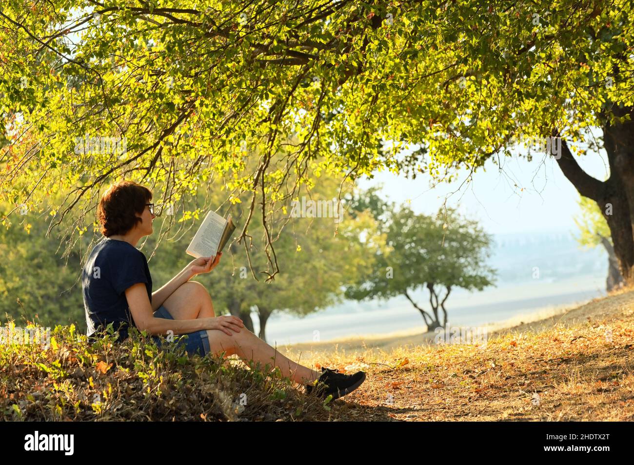 woman, nature, reading, female, ladies, lady, women, natur, natures ...
