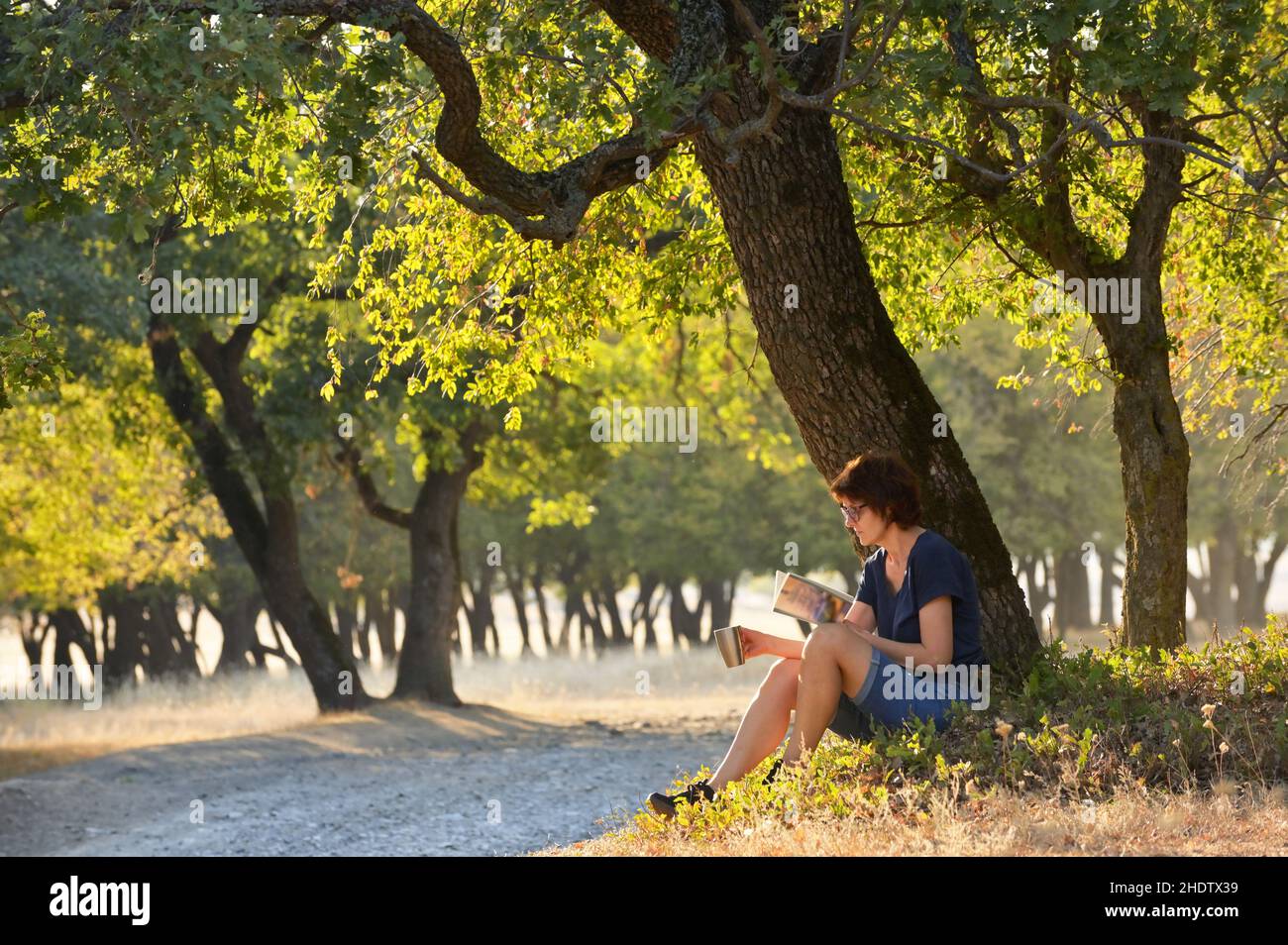woman, nature, reading, female, ladies, lady, women, natur, natures ...