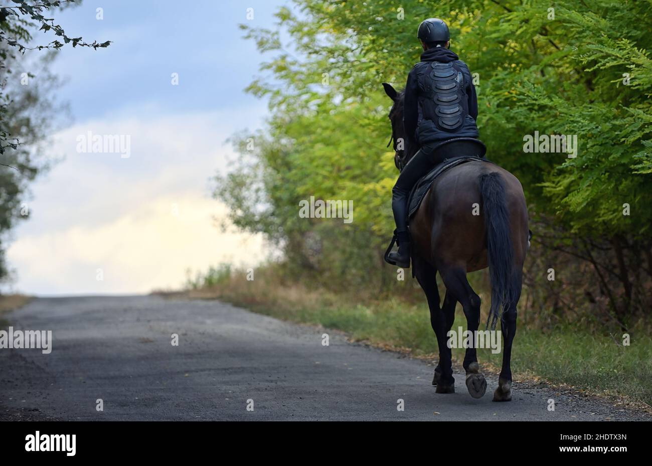 rider, ride, horses, riders, rides, horse Stock Photo - Alamy