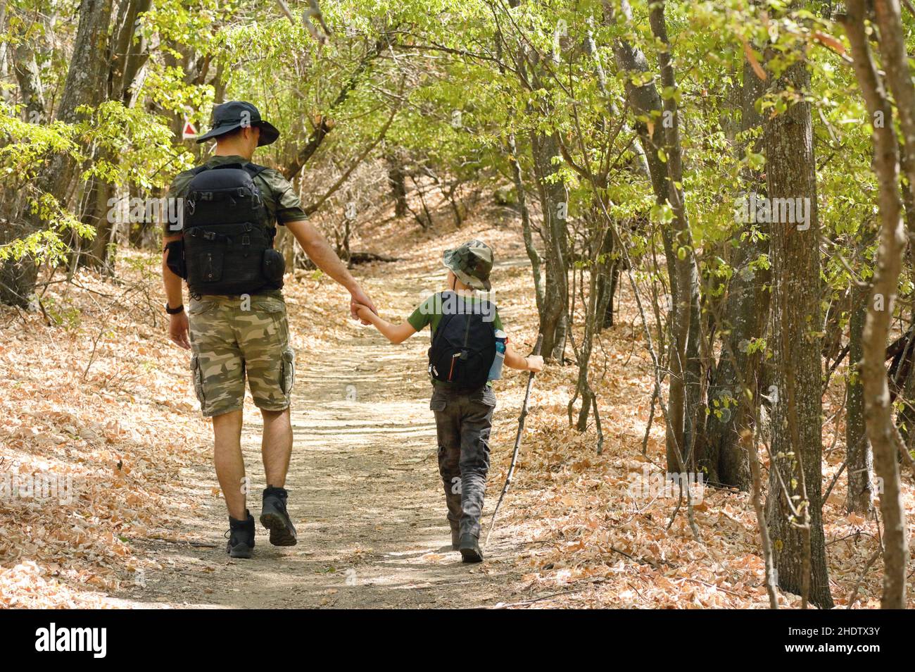 hiking, excursion, nature, excursions, trip, trips, natur, natures ...