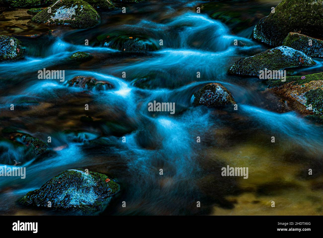 Blue hour, mountain stream in the Carpathian Mountains. Stones covered ...