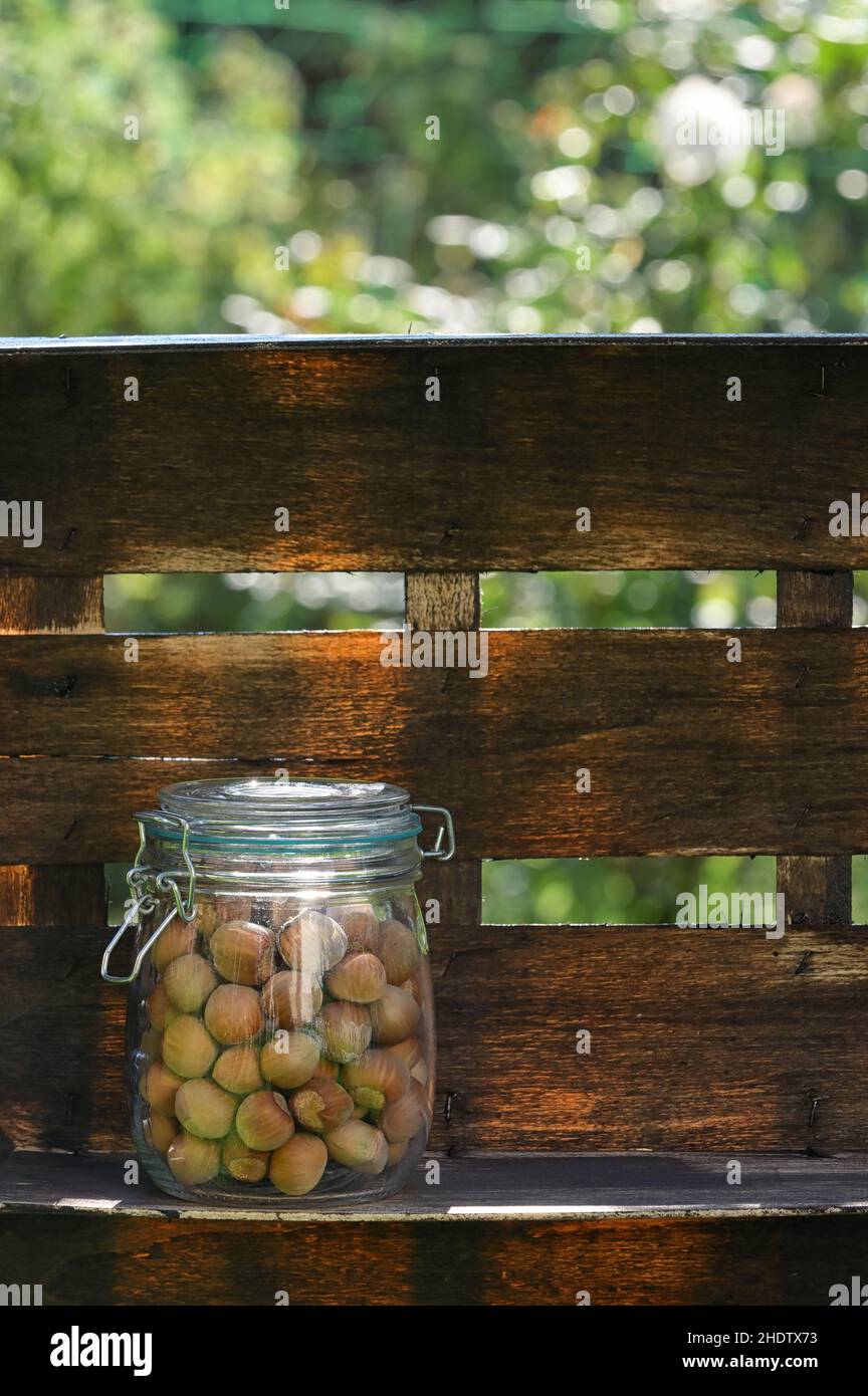 Hazelnut drying hi-res stock photography and images - Alamy