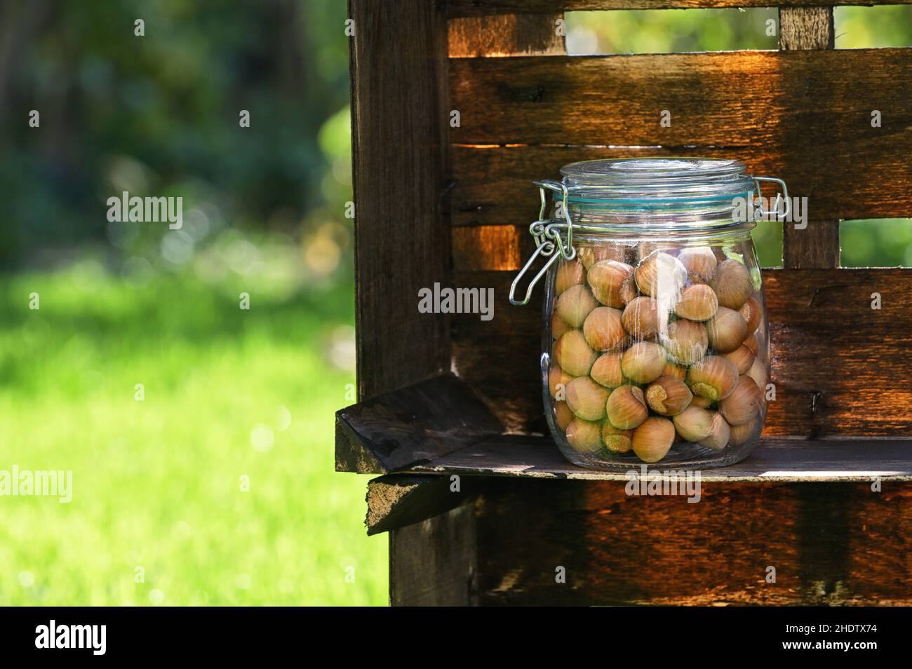 Hazelnut drying hi-res stock photography and images - Alamy