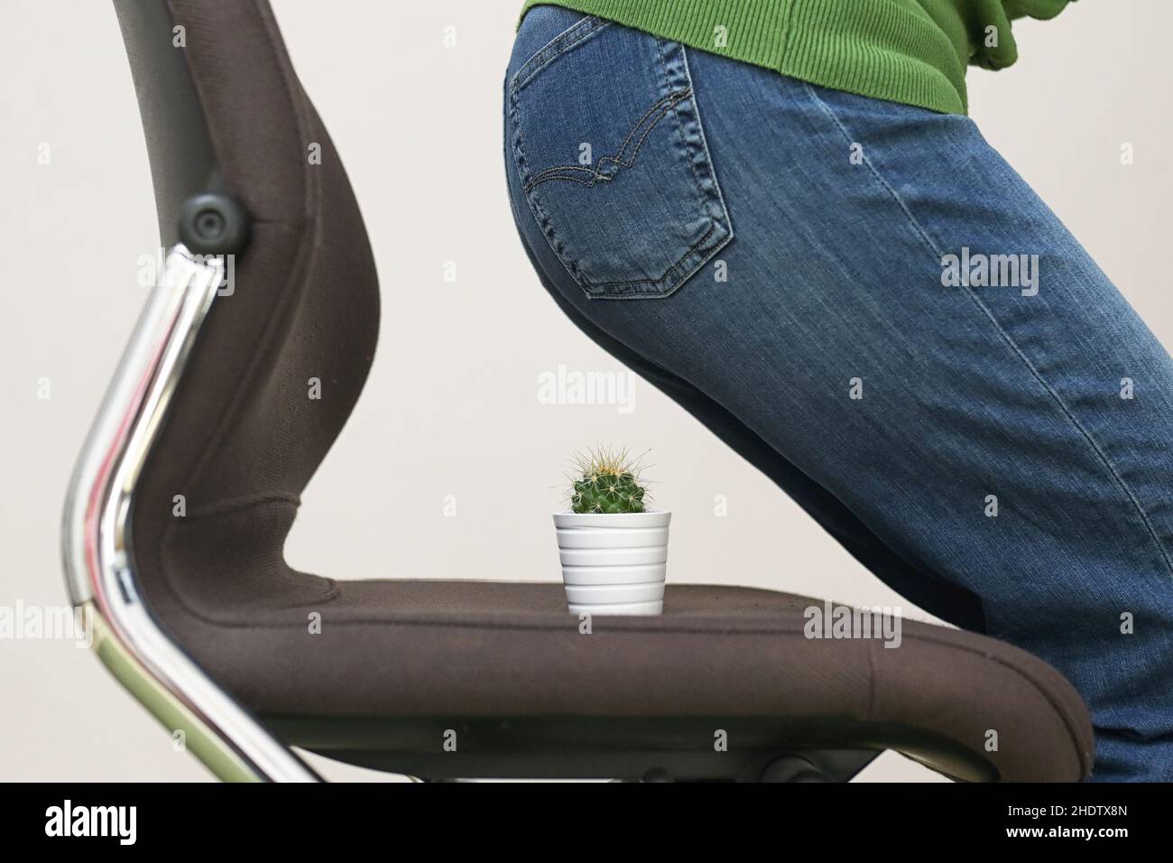 office chair, cactus, sit, office chairs, sits Stock Photo - Alamy