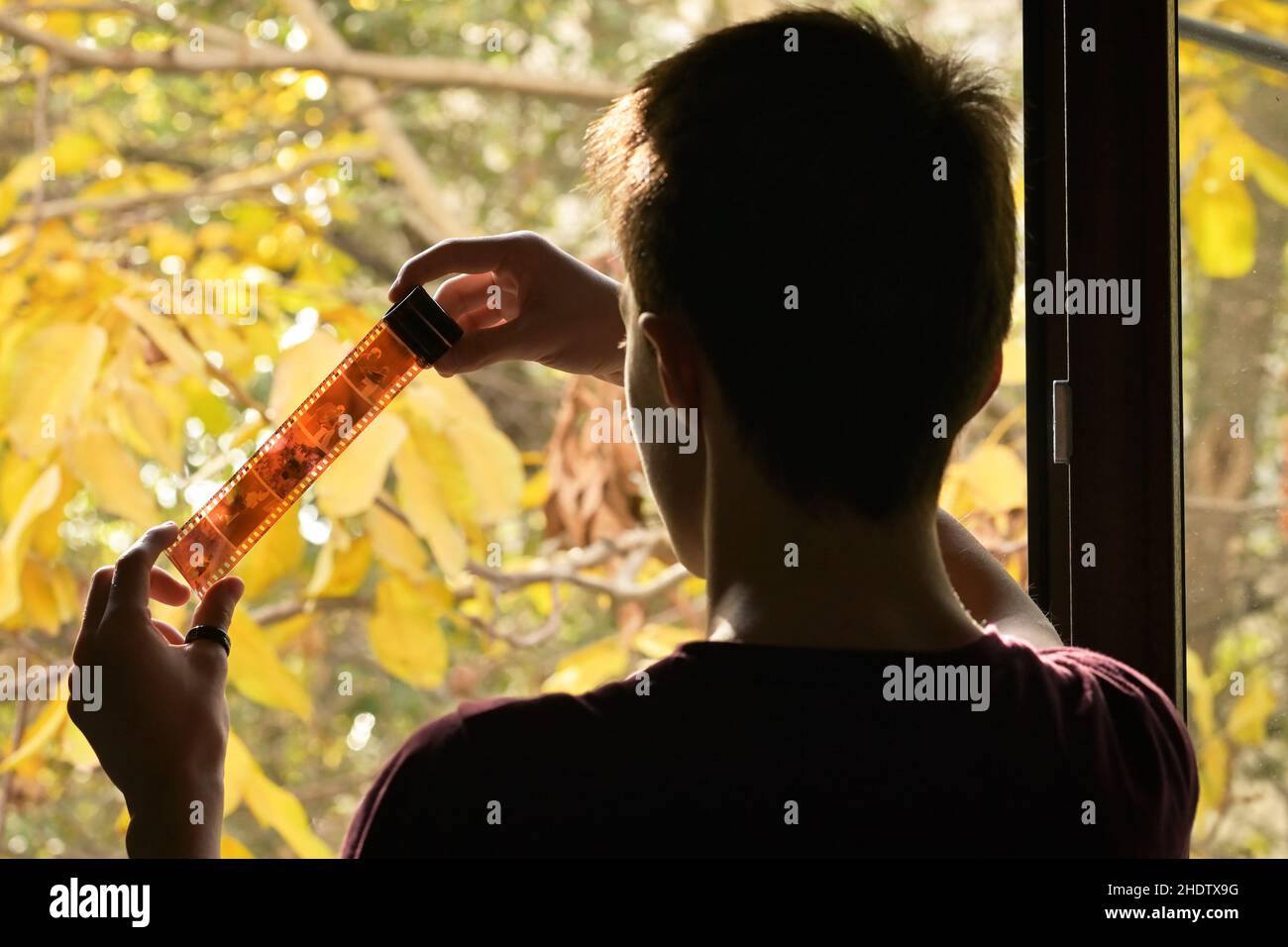 looking, negative image, window light, look, negative images Stock ...