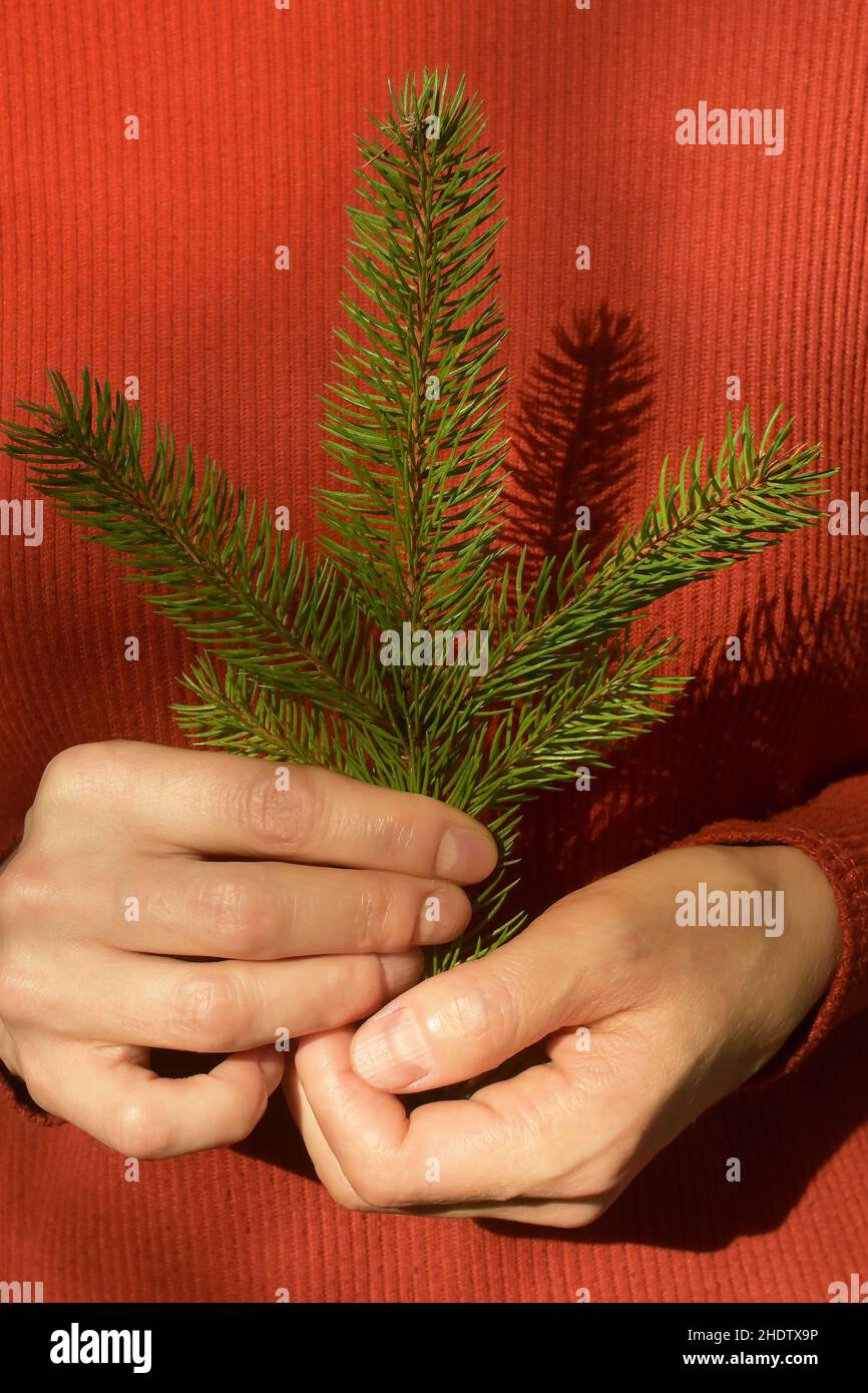 Body branch hi-res stock photography and images - Alamy