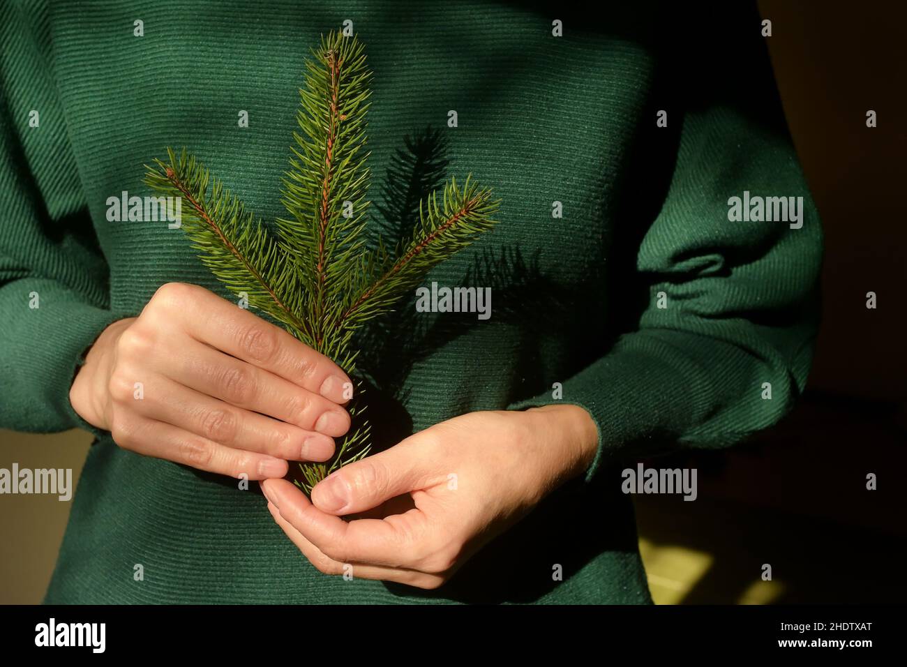 Firs person view hi-res stock photography and images - Alamy